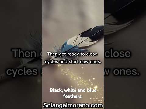 the spiritual meaning of black, white and blue feathers #message #motivation #angel #feather