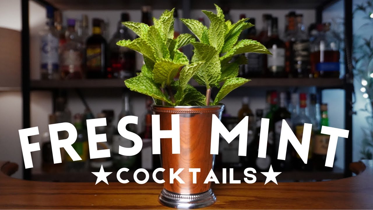 4x FRESH MINT Cocktails ★ My Favorite Minty Recipes
