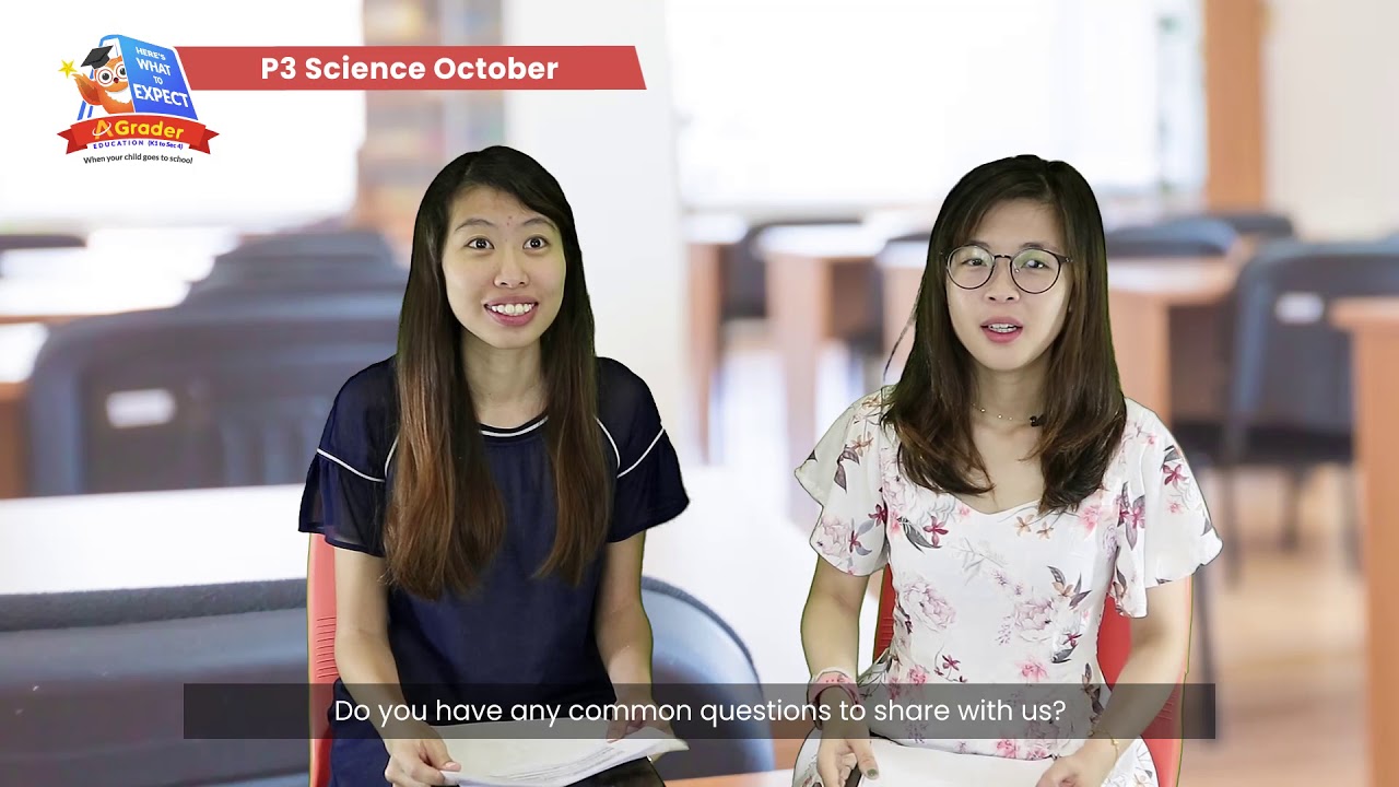 Primary 3 Science - Here's What to Expect – October