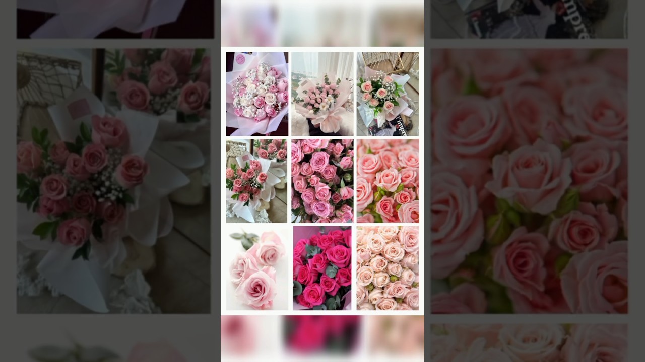 # 9 new most beautiful Rose picture #wallpaper #shorts #trendingshorts