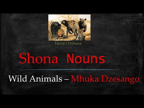 Shona Names of Wild Animals found in Zimbabwe. Mhuka Dzesango. The Big 5.