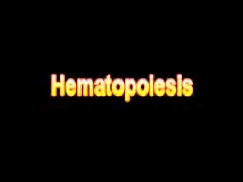 What Is The Definition Of Hematopoiesis - Medical Dictionary Free Online Terms