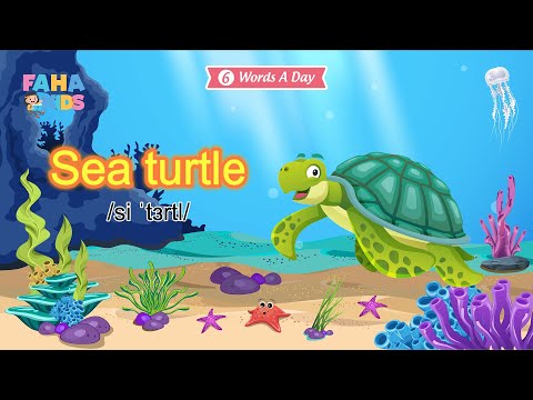 Learn Sea Animals With Name For Kids | List Of Sea Animals | 01-P2 | 6 Words A Day | FAHA Kids