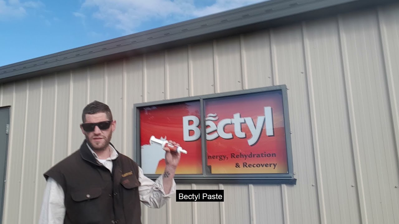 Bectyl paste - Learn more about rehydration and recovery in horses with Virbac's Bectyl paste