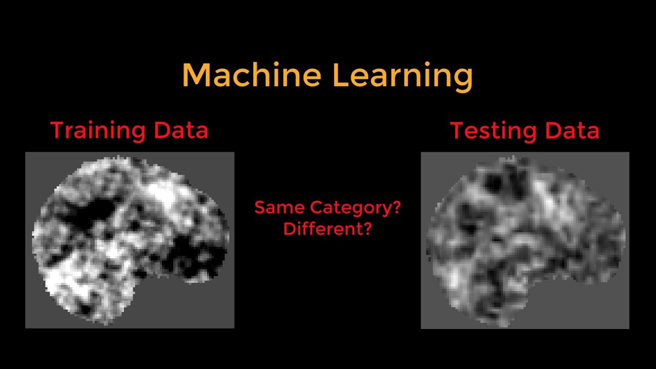 Overview of MVPA Tutorial