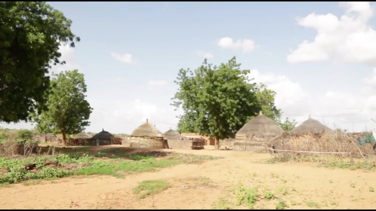 A Principled Approach to Rural Digital Transformation – Digital Impact ...