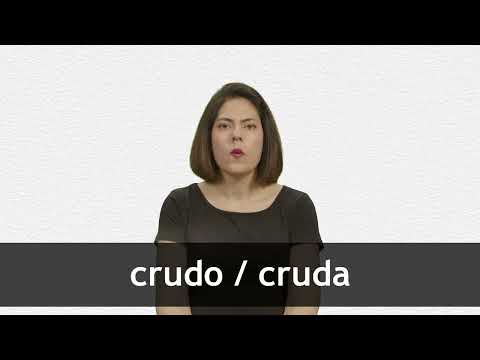 English Translation of “CRUDA” | Collins Spanish-English Dictionary