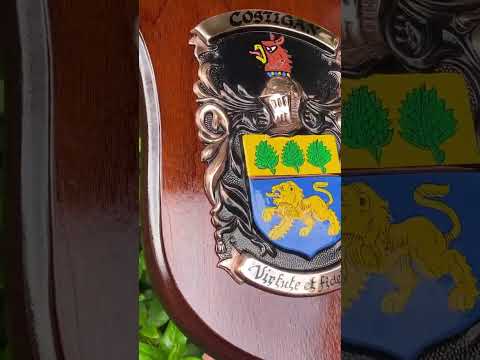 FAMILY CREST SHIELD IRISH COAT OF ARMS