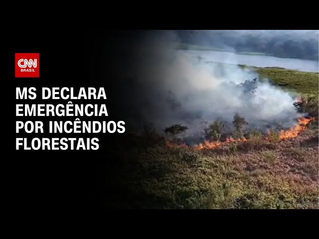 Ms Declara Emergência Em Municípios Atingidos Por Incêndios Florestais