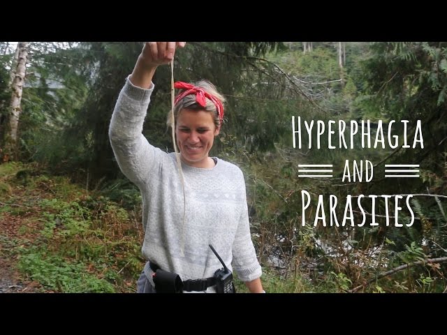 How to pronounce hyperphagia | HowToPronounce.com