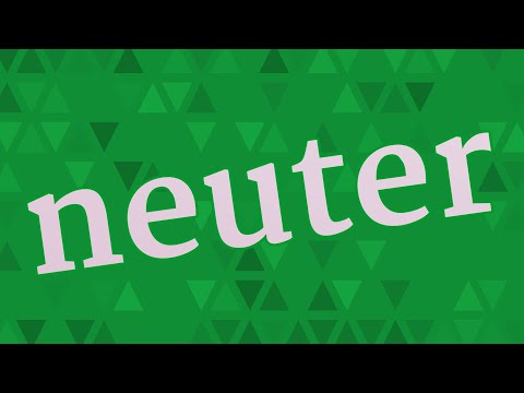 NEUTER pronunciation • How to pronounce NEUTER