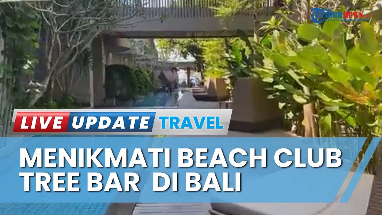 Tree Bar, Rekomendasi Tempat Nongkrong di Bali yang Menawarkan Nuansa ...