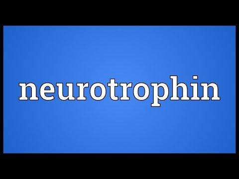 Neurotrophin Meaning