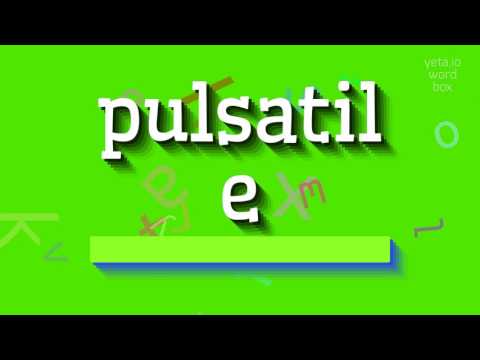 How to say "pulsatile"! (High Quality Voices)