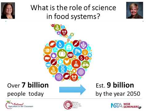 Contextualizing STEM in the Science of Food