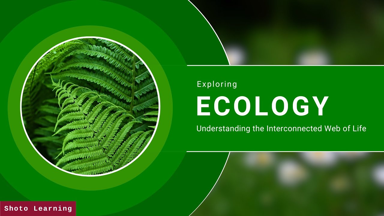 Ecology: Enlightening Insights through an Engaging PowerPoint Presentation