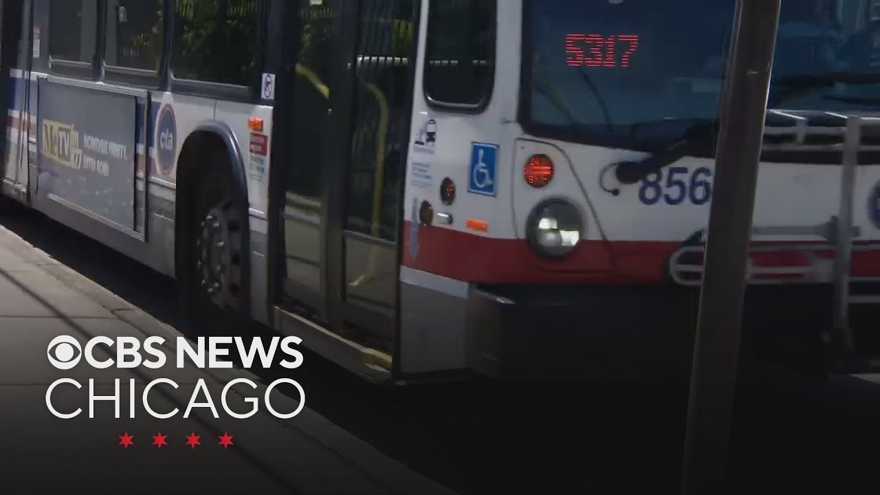 Task force created to help curb crime on CTA buses and trains