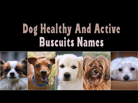 Dog cookies , biscuits names in English | healthy and active dog Biscuits