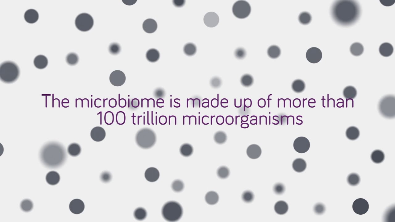 The Animal Gut Microbiome