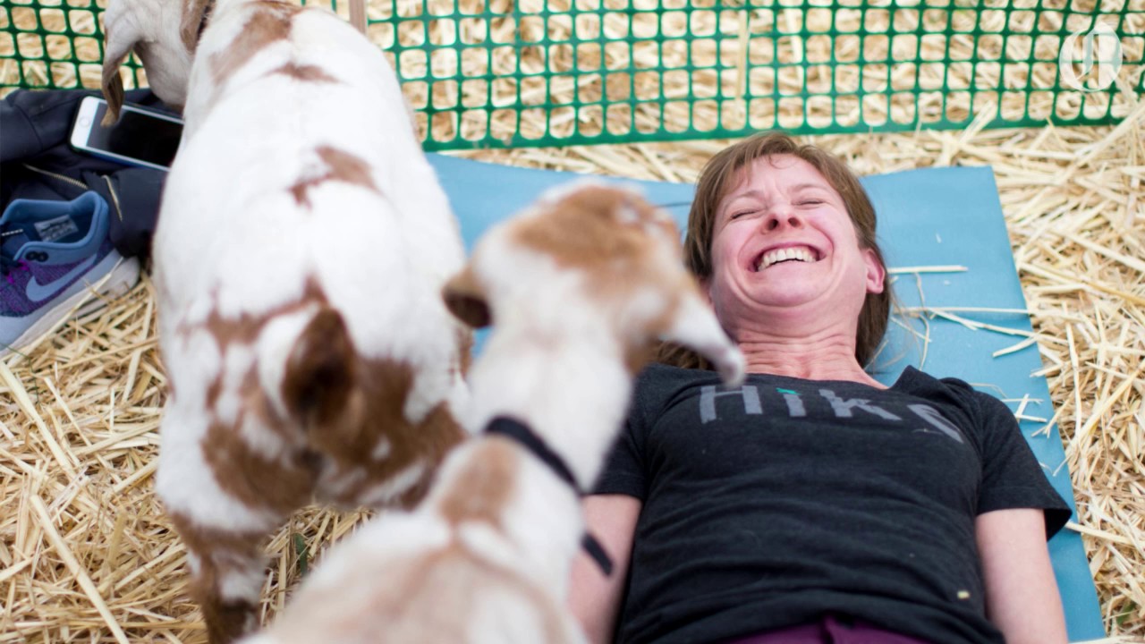 Hire Founder of Goat Yoga - Motivational Speaker in Portland, OR | GigSalad