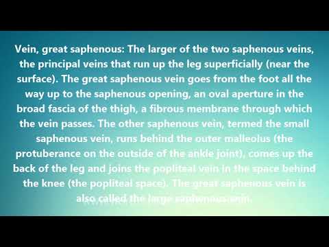 Vein, great saphenous - Medical Meaning and Pronunciation