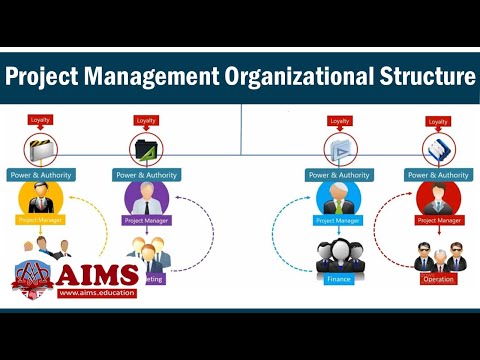 Project Management Organizational Structure & its Types | AIMS Education