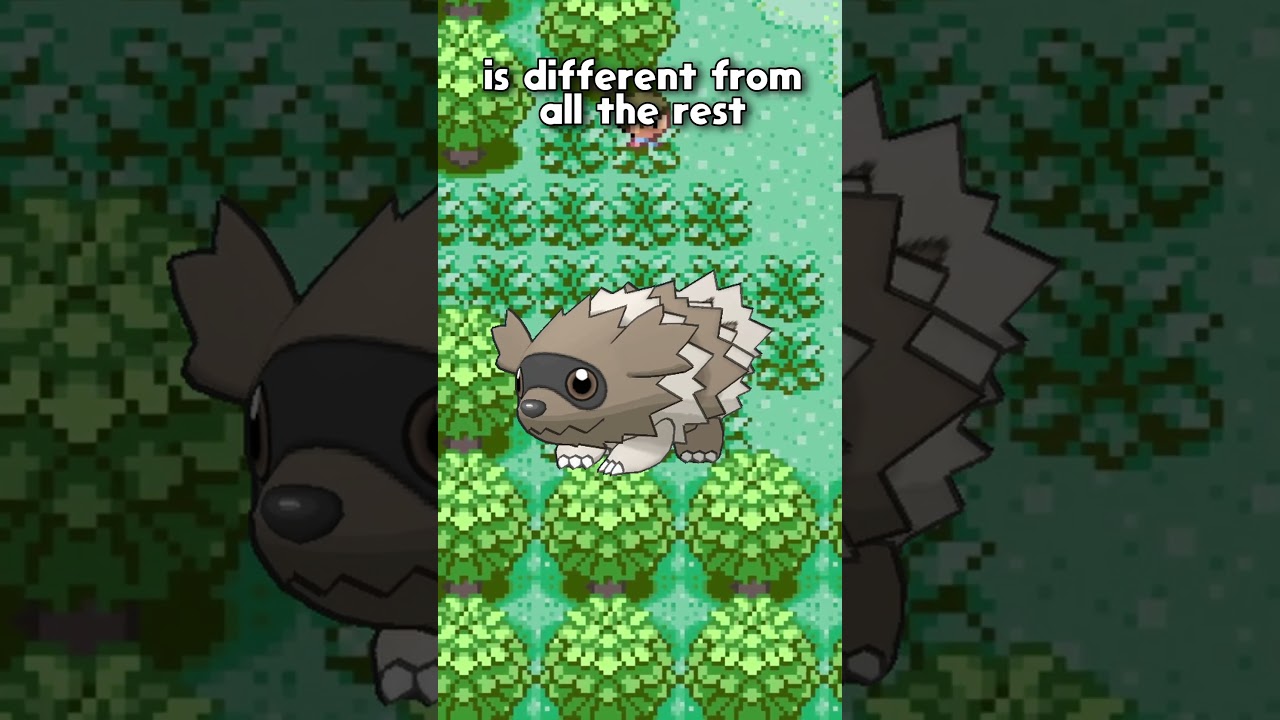 Zigzagoon's Poetic Underdog Story In Gen 3 Pokemon