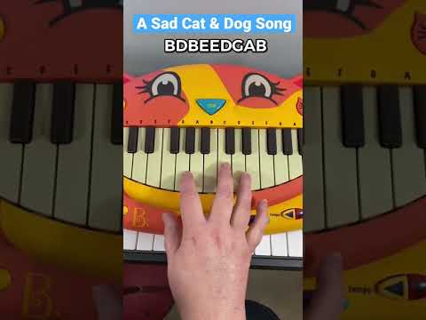 A Sad Cat and Dog Song ???????????? by tootymcnooty #shorts