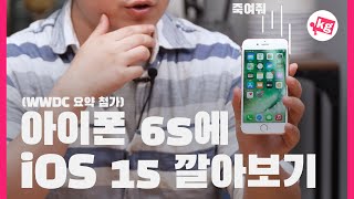 아이폰6s에 iOS15 깔아보기 - 인스티즈(instiz) 이슈 카테고리