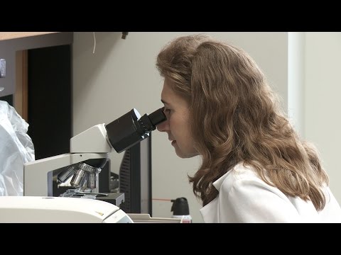 UAB trial to test promising new treatment approach for diabetes