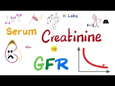 Serum Creatinine vs GFR - How the kidneys works - Nephrology Labs