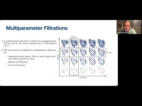 Multiparameter Persistent Homology
