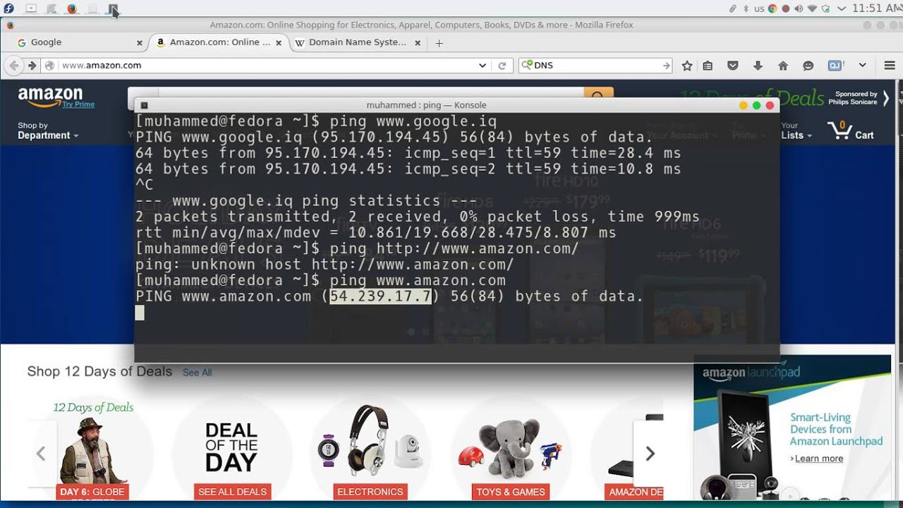 42  Python network programming DNS