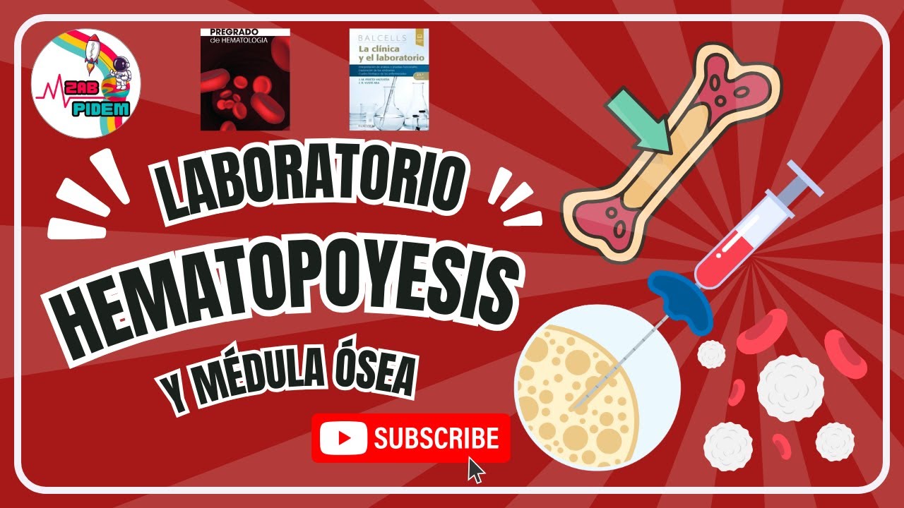 LABORATORIO | Tema: Hematopoyesis - Fases, Médula Ósea, Modelo Jerárquico
