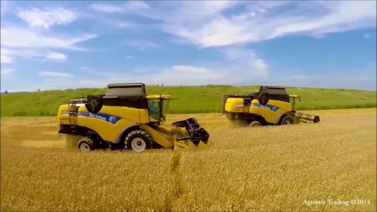 Agrostar Trading