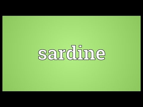 Sardine Meaning