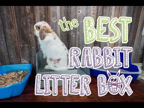 Rabbit Litter Box Comparison