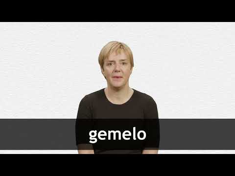 English Translation of “GEMELO” | Collins Spanish-English Dictionary