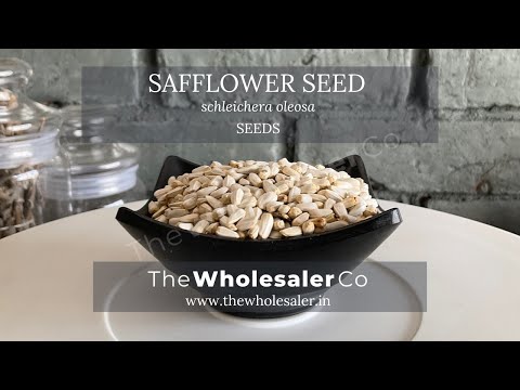 Safflower Seeds - Wholesale Price & Mandi Rate for Kusum Beej in India