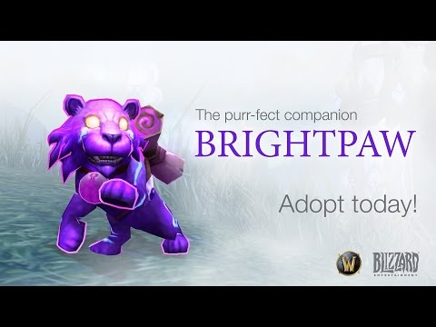 New World of Warcraft Pet: Brightpaw