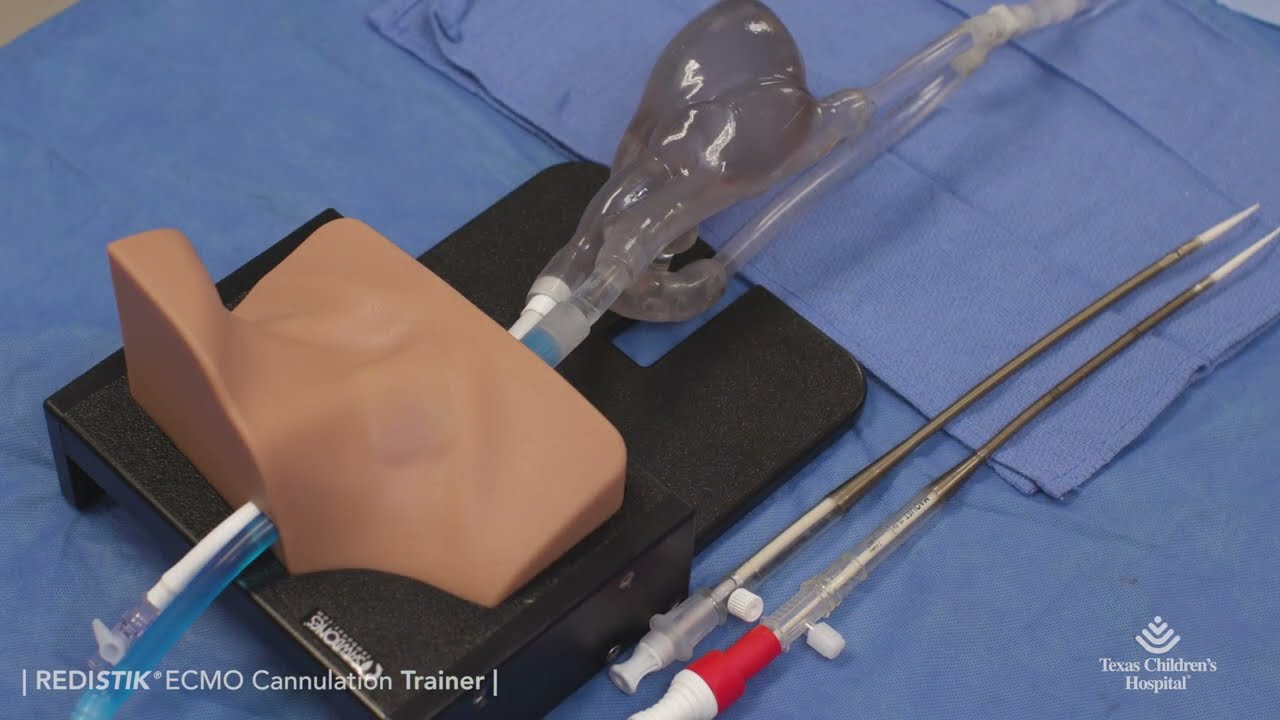 RediStik® ECMO Cannulation Trainer