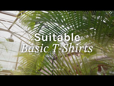 Basic T-Shirts NL 2024 | Suitable