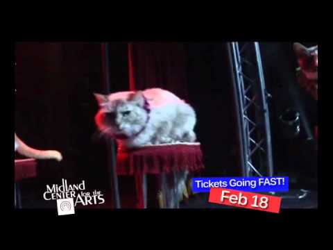 Popovich Comedy Pet Theater coming to the Midland Center for the Arts!