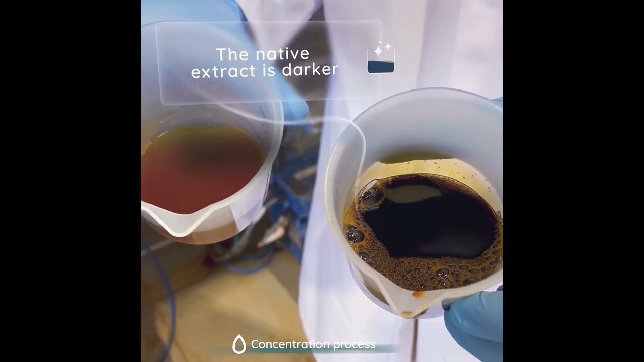 (Long version) The stages in botanical extraction: from sourcing to extract production