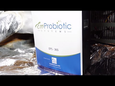 Probiotic Cleaner (Natural Cleaning Solution) Healthy Home 365