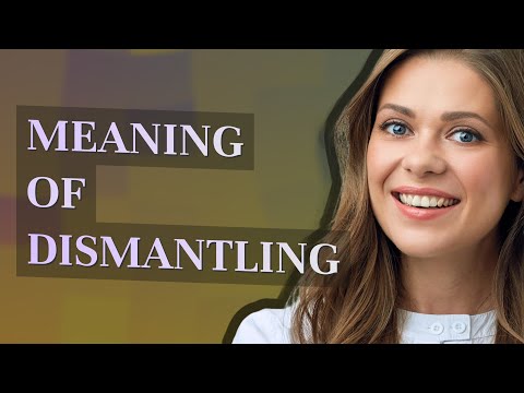 Dismantling | meaning of Dismantling