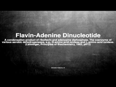 Medical vocabulary: What does Flavin-Adenine Dinucleotide mean