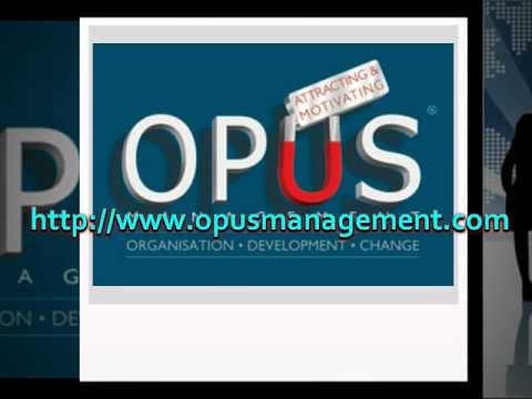 management consultant training
