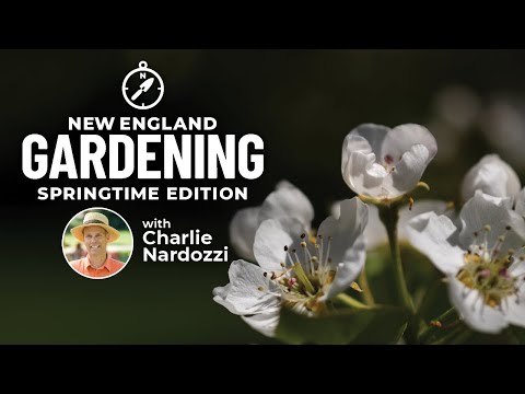 New England Gardening with Charlie Nardozzi Springtime Edition (2021 ...