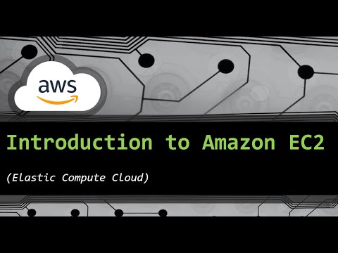 Discover The Basics Of Amazon Ec2: What You Need To Know About Aws Ec2 In The Cloud
